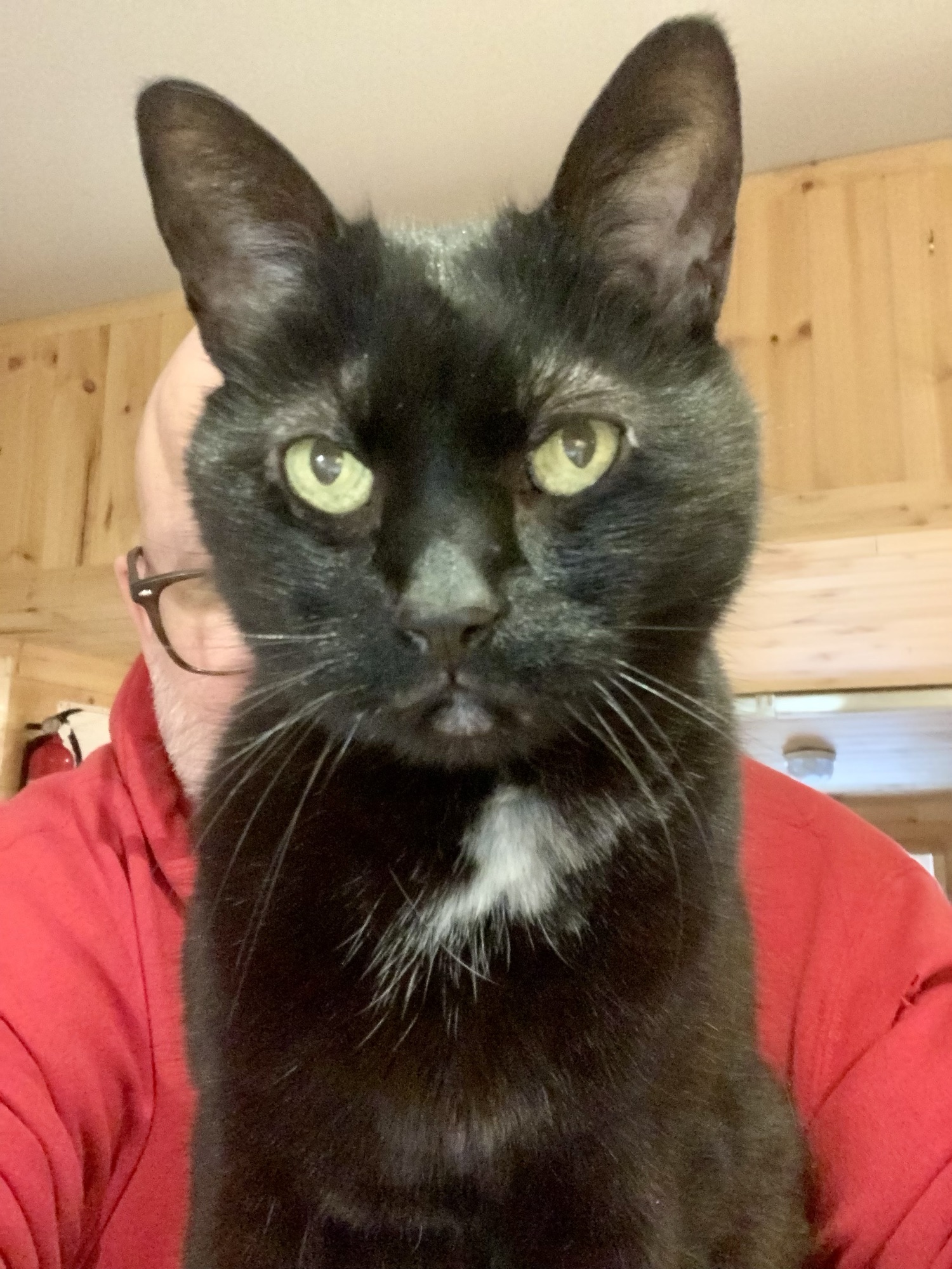 Unwanted animals make the worst pets! – BCB&B, neemtree, bdb, and blog