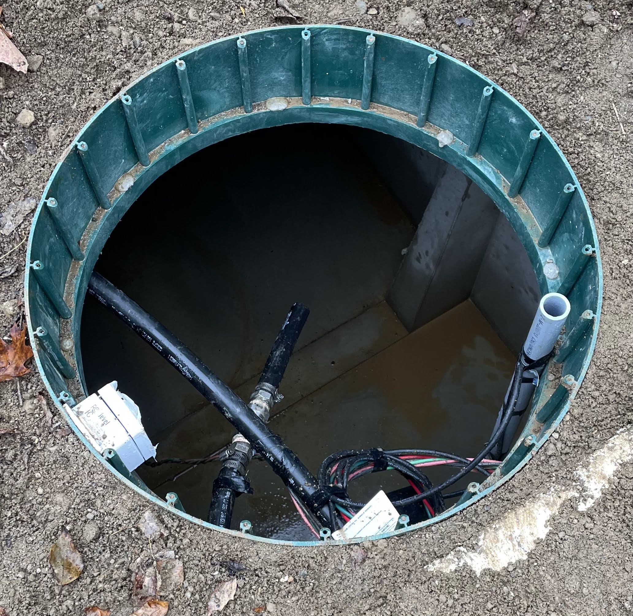 Sunday, November 03, 2024 Farm Update – Black Cat Bed And Breakfast